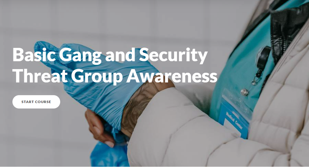 Rise 360 Course banner image | Articulate - Community