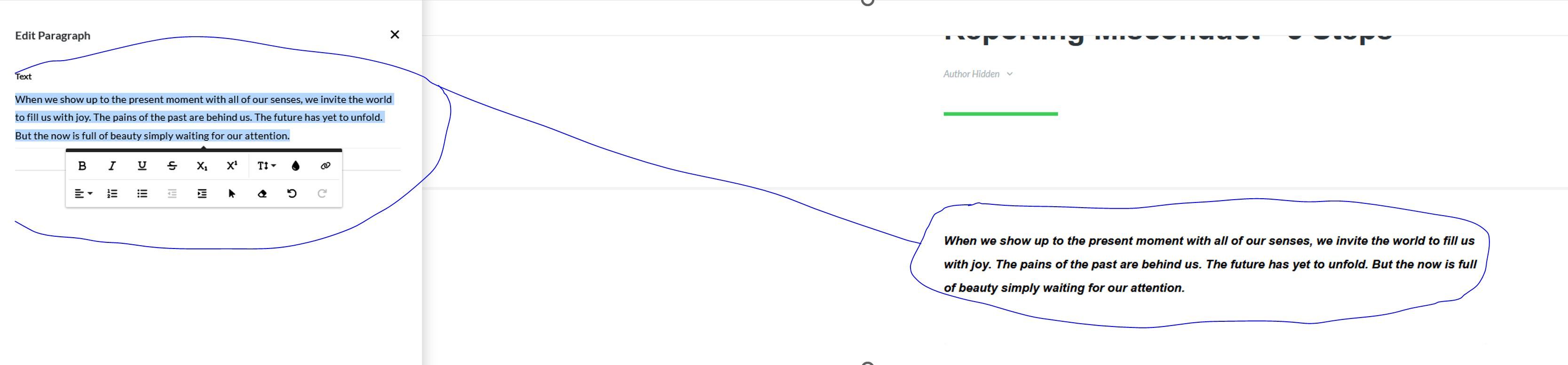 Fonts in Rise not displaying as expected.... | Articulate - Community