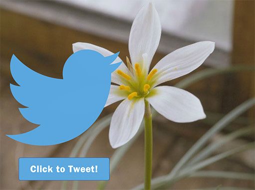 40+ Ways to Use JavaScript in Articulate Storyline #132 | Articulate ...