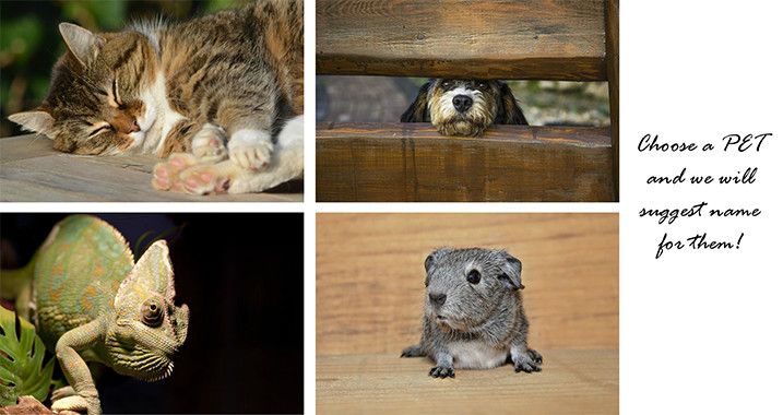 40+ Ways to Use JavaScript in Articulate Storyline #132 | Articulate ...