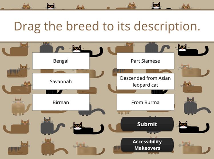 19 Accessibility Makeover Examples For E Learning 417 Articulate