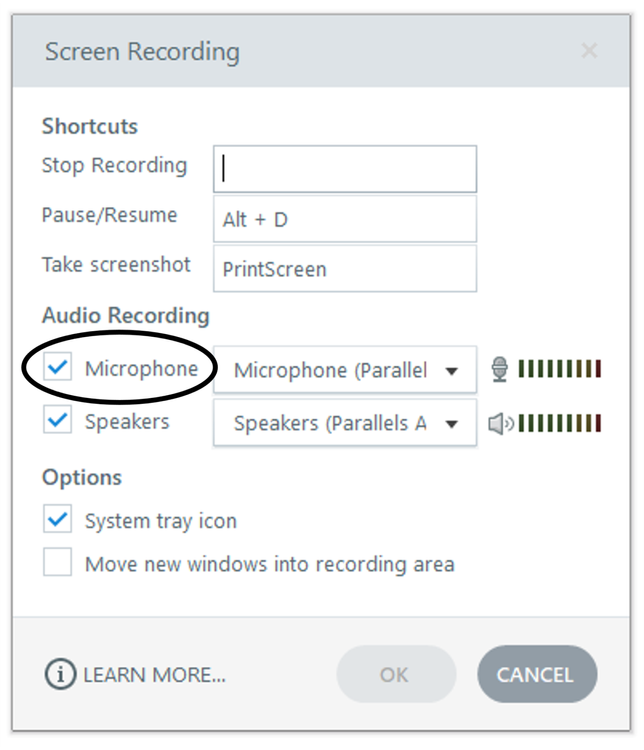 Follow These 5 Steps to Record Your Screen in Storyline 360 ...