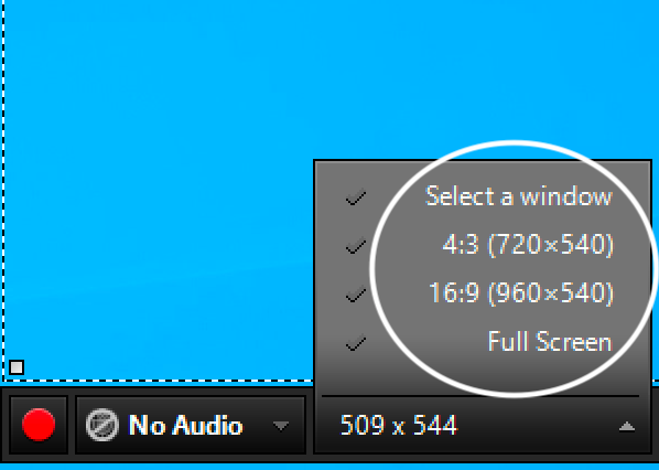 Follow These 5 Steps to Record Your Screen in Storyline 360 ...