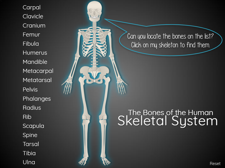 How to Match Question Types with the Skills You’re Testing | Articulate ...
