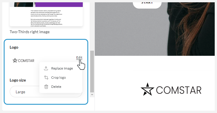 Rise 360: Personalize the Theme | Articulate - Community