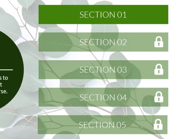 Storyline: Custom Locked Menu | Articulate - Community