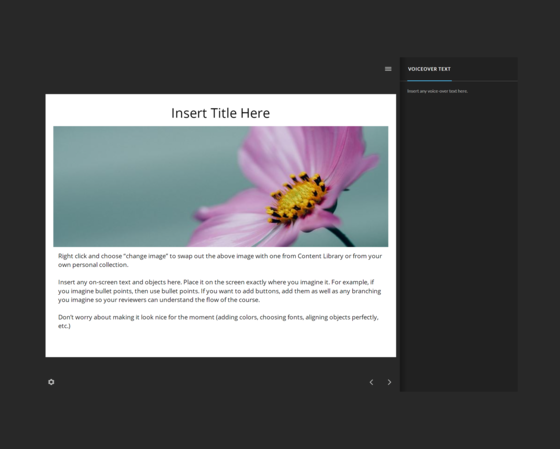 Storyline: Storyboard Template | Articulate - Community