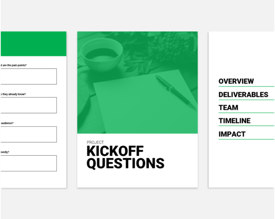 Project Kickoff Questions | Articulate - Community