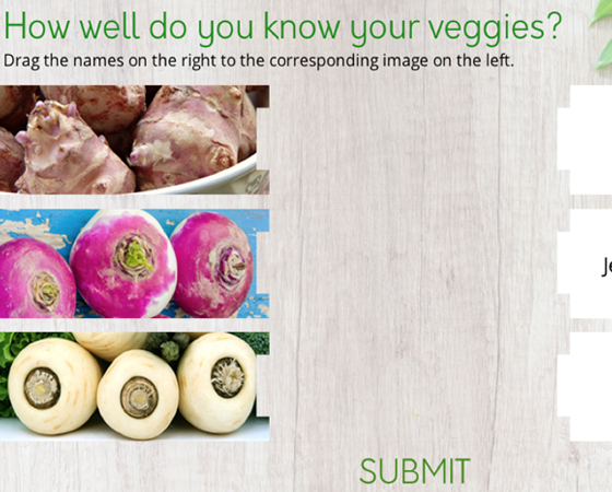 Storyline: Matching Drag-and-Drop Template | Articulate - Community