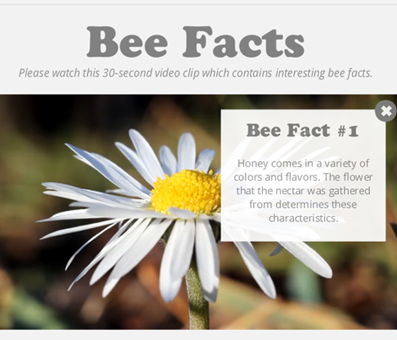 Storyline 2 Interactive Video With Pop Ups Articulate Community