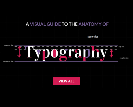 Storyline: A Visual Guide to the Anatomy of Typography | Articulate ...