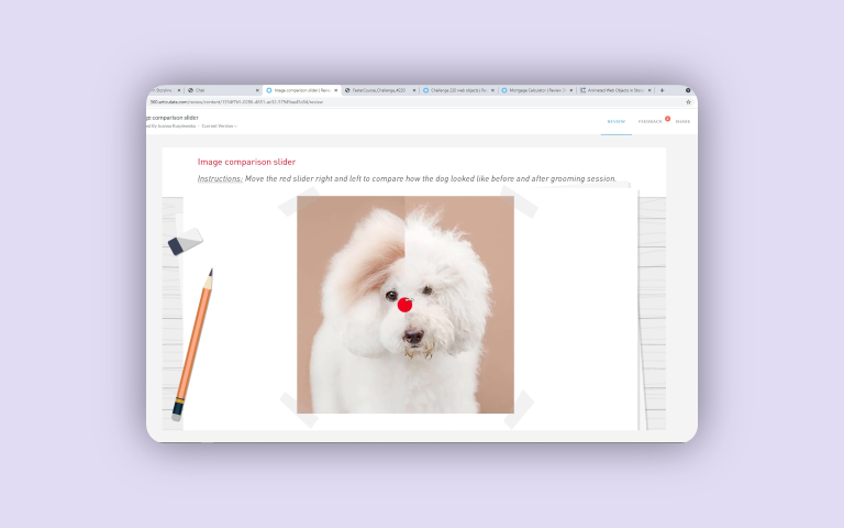 Using Web Objects in Storyline | Articulate - Community