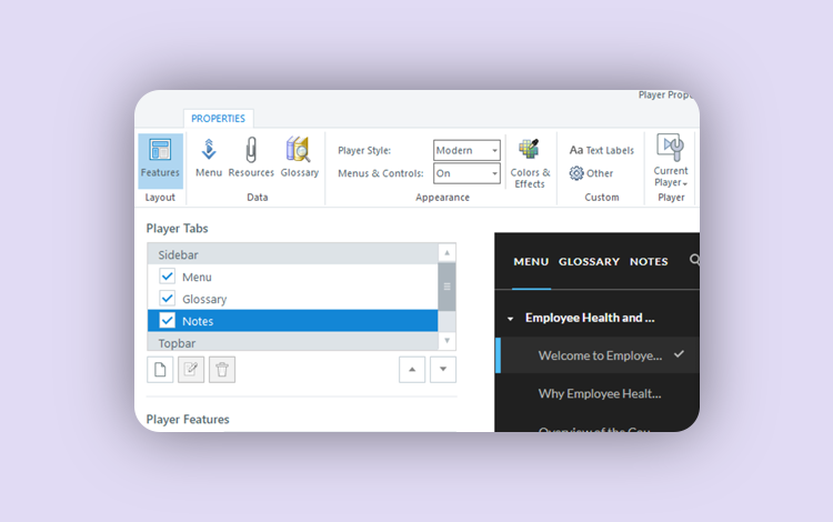 Customize the Player Settings in Storyline | Articulate - Community