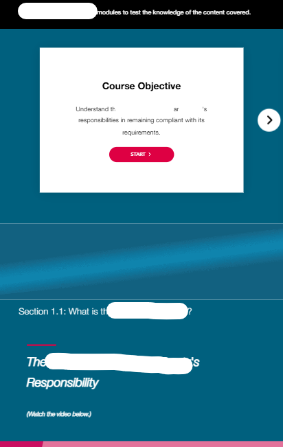 Faint lines between sections in Rise course | Articulate - Community