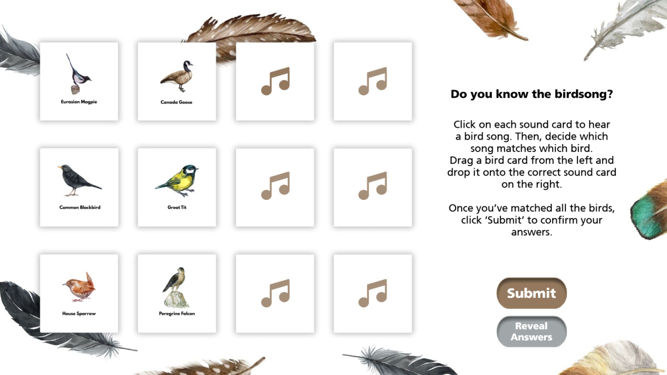 Ear Training for Nature Lovers | E-Learning Heroes